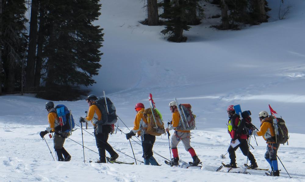 Mountain Rescue Association hosts Search and Rescue Training in Mono ...